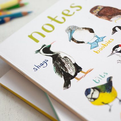 Buy Sarah Edmonds Cheeky Birds A5 Recycled Notebook only £5.50