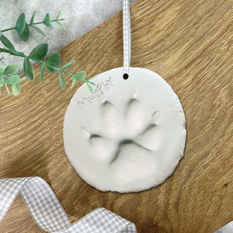 Buy Pet Paw Print Clay Impression Moulding Kit only £9.99