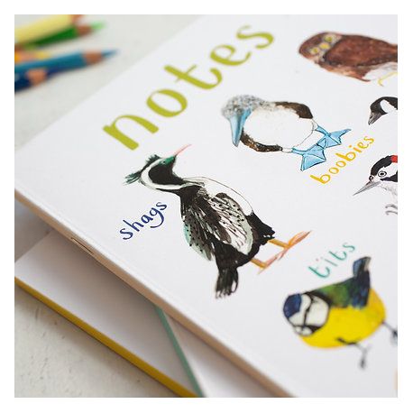 Buy Sarah Edmonds Cheeky Birds A5 Recycled Notebook only £5.50